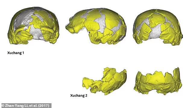 Meet the ancient 'big head' people: Scientists uncover a 'lost' human ...