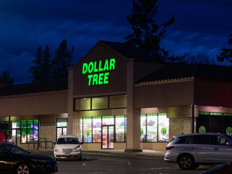 Woman's Easy Dollar Tree Hack Is the Best Way to Garden on a Budget