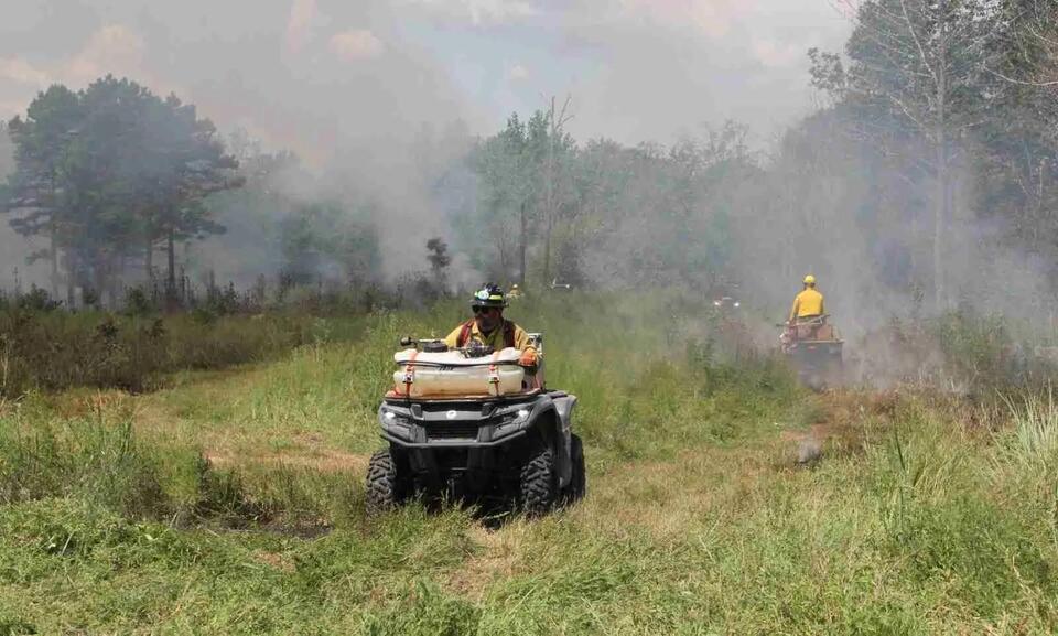 Big, beautiful burn sparks new growth for prairie habitat on Camp ...
