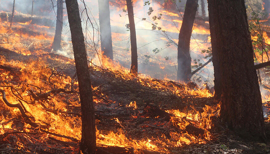 LLNL’s multi-ignition wildfire models could help predict and prevent ...