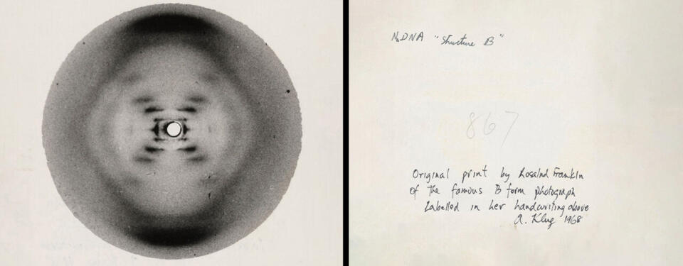 Science History Institute Acquires Molecular Biology Archive That ...