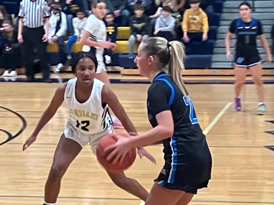 Flint-area girls basketball district pairings