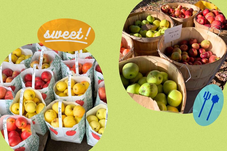 The Official Ranking Of Apples Based Solely On Vibes - NewsBreak