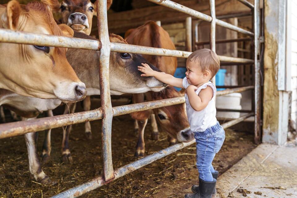 Here's why you can drink milk as a baby, but be lactose intolerant as ...