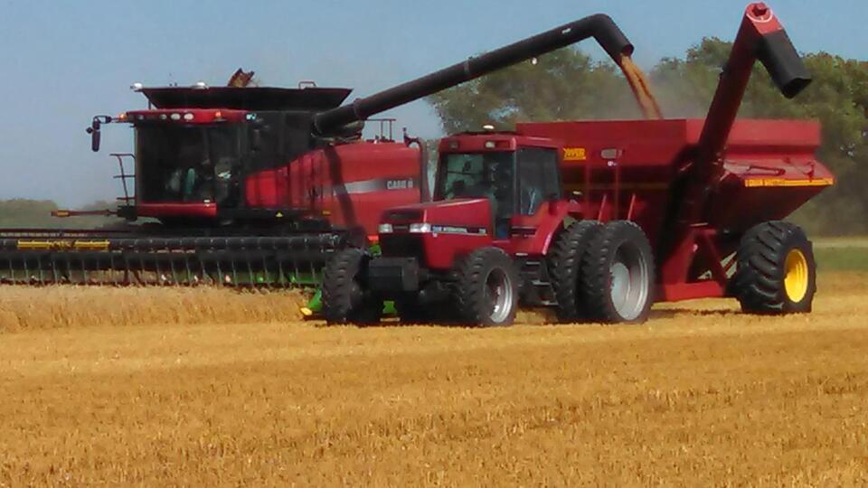 Rising mediation cases signal deepening financial stress for Minnesota ...