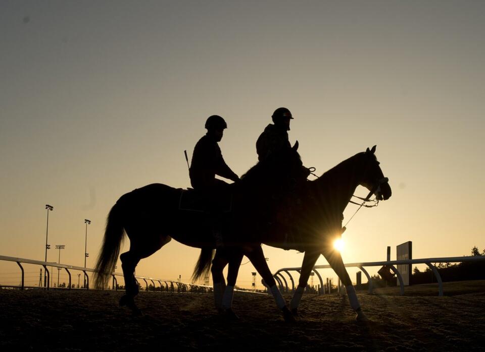 Light Up Racing To Shut Down; Here's What We Learned - NewsBreak