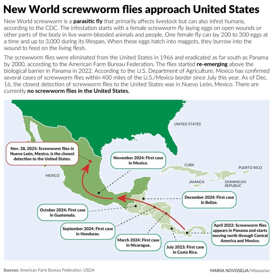 Experts warn a flesh-eating fly could be back in Missouri soon - NewsBreak