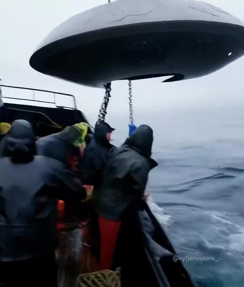 Caught a UFO in the Ocean Depths alien extraterrestrial uap Uaps Ufo ...