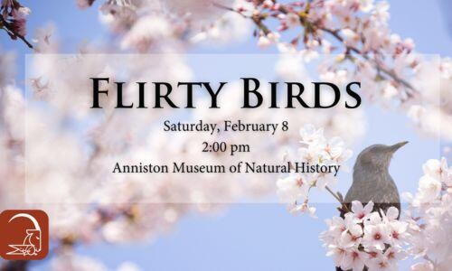 Flirty Birds Event at Anniston Museums and Gardens Offers Lighthearted Look at Avian Courtship ...