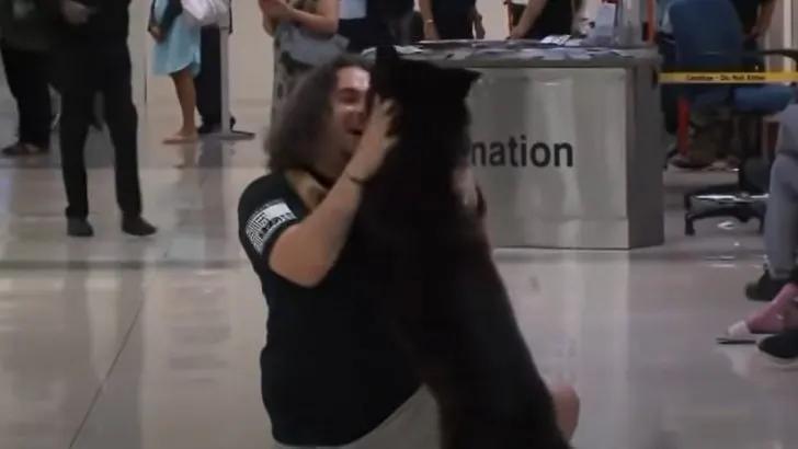 The Ex Marine K9, Atilla, Reunites With His Handler After 3 Years ...