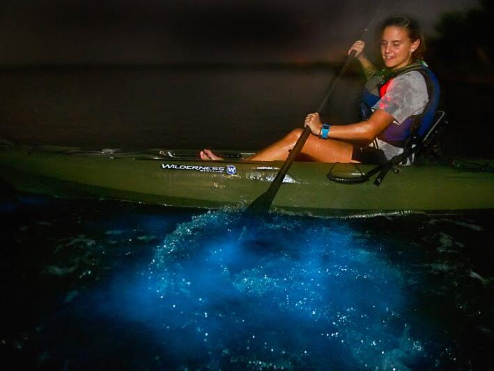 Make a Splash Bioluminescent Kayaking in St. Augustine