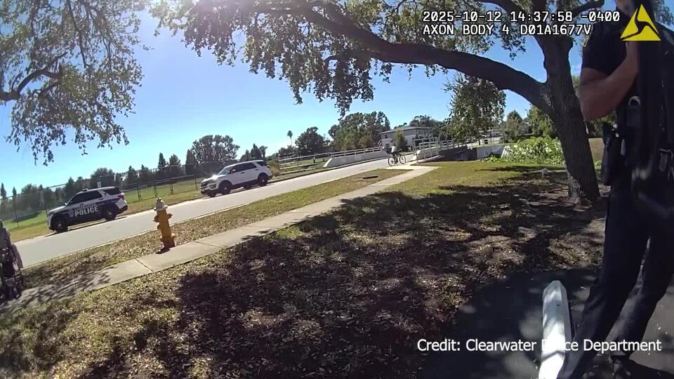 Clearwater police remove 5-foot boa constrictor from woman’s car ...
