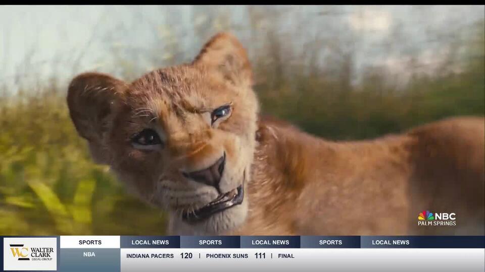 Movie Reviews: MUFASA: THE LION KING, SONIC THE HEDGEHOG 3, A COMPLETE UNKNOWN - NewsBreak