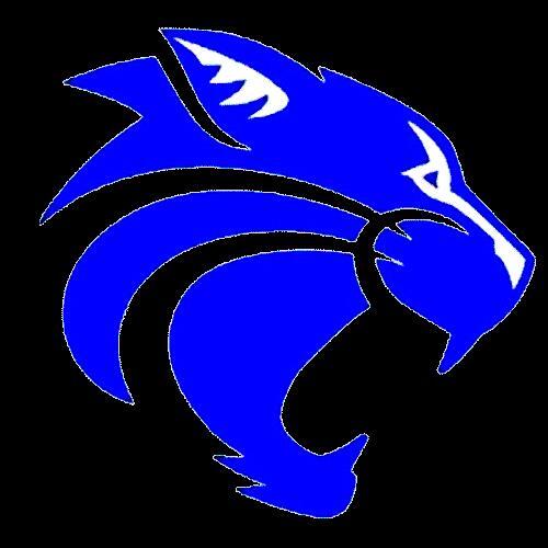 Wildcats fight, but fall to the Abramson Commodores - NewsBreak