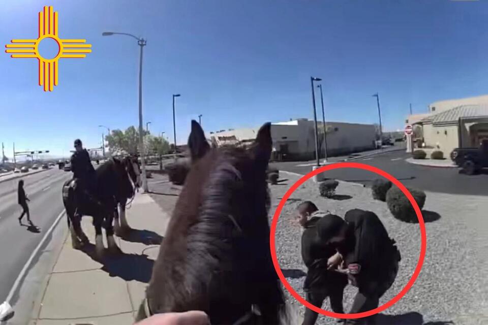 Albuquerque Police Apprehend Shoplifting Suspect in Dramatic Horseback ...