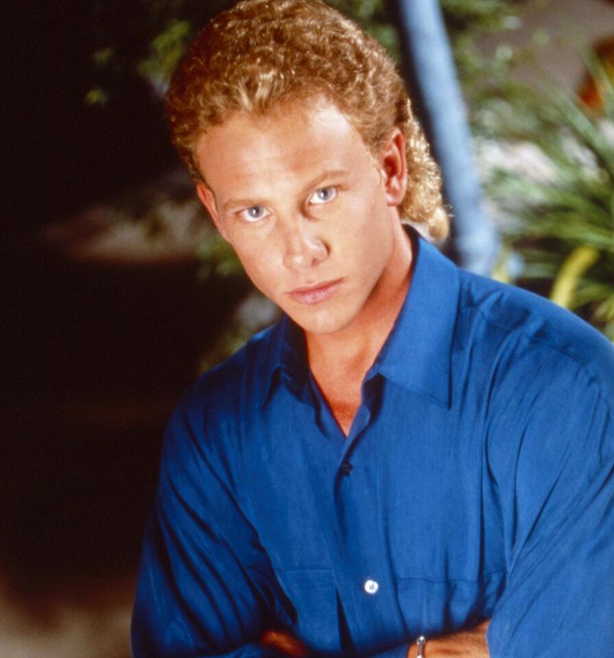 Ian Ziering's Ups and Downs Through the Years: Assault Claims and More ...