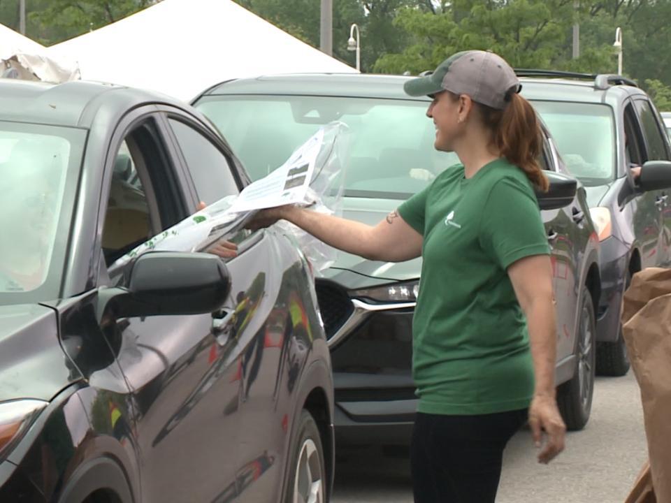 Des Moines residents can get 5 tiny trees through city giveaway