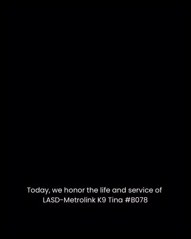 LASD honors K9 veterans on National K9 Veterans’ Day - NewsBreak