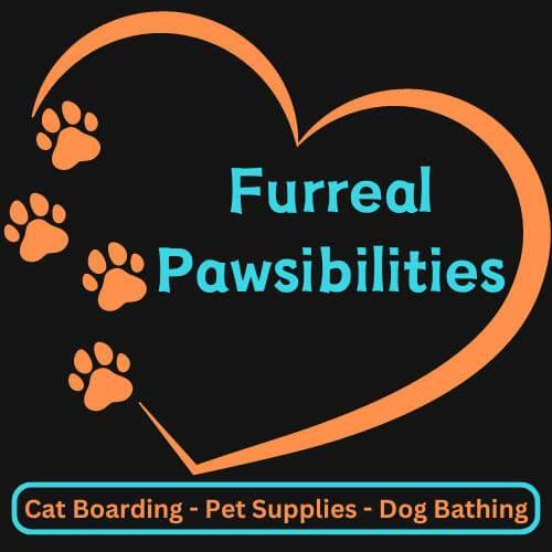 Furreal Pawsibilities Pet Store now open in Aberdeen - NewsBreak