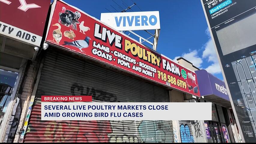 Bronx's Vivero Live Poultry Farm closed amid temporary shut down of NYC ...