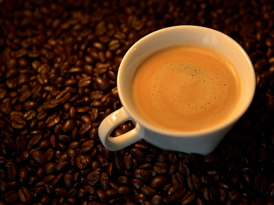 Brazil coffee output poised for record high in 2026, reports Conab ...
