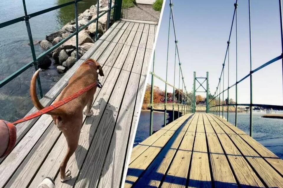 Explore Maine’s Hidden Gem: The World’s Smallest Suspension Bridge ...