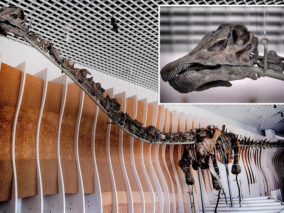 First-of-its-kind green dinosaur skeleton found in Utah could be new ...