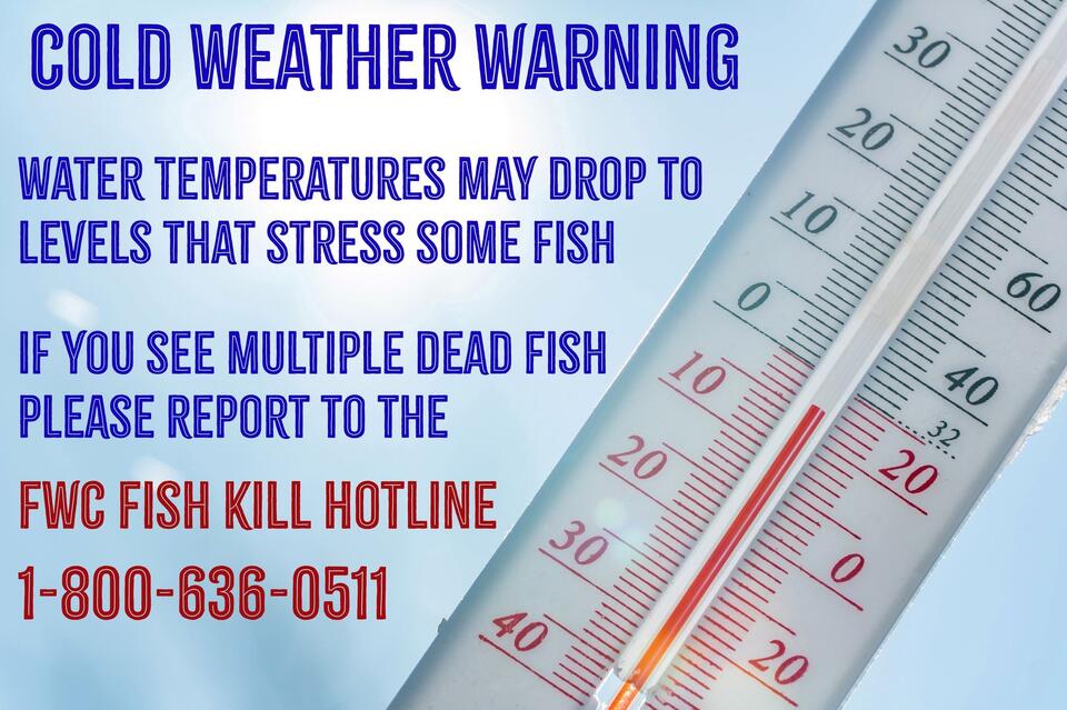 Cold Weather Warning - Possible Fish Death - NewsBreak