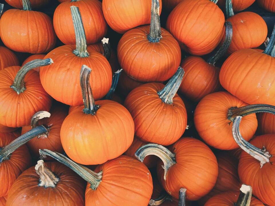 Mahomet Launches First-Ever “Fall for Mahomet” Festival - NewsBreak