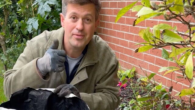 Gardeners with tree stump in garden issued warning not to touch it for ...