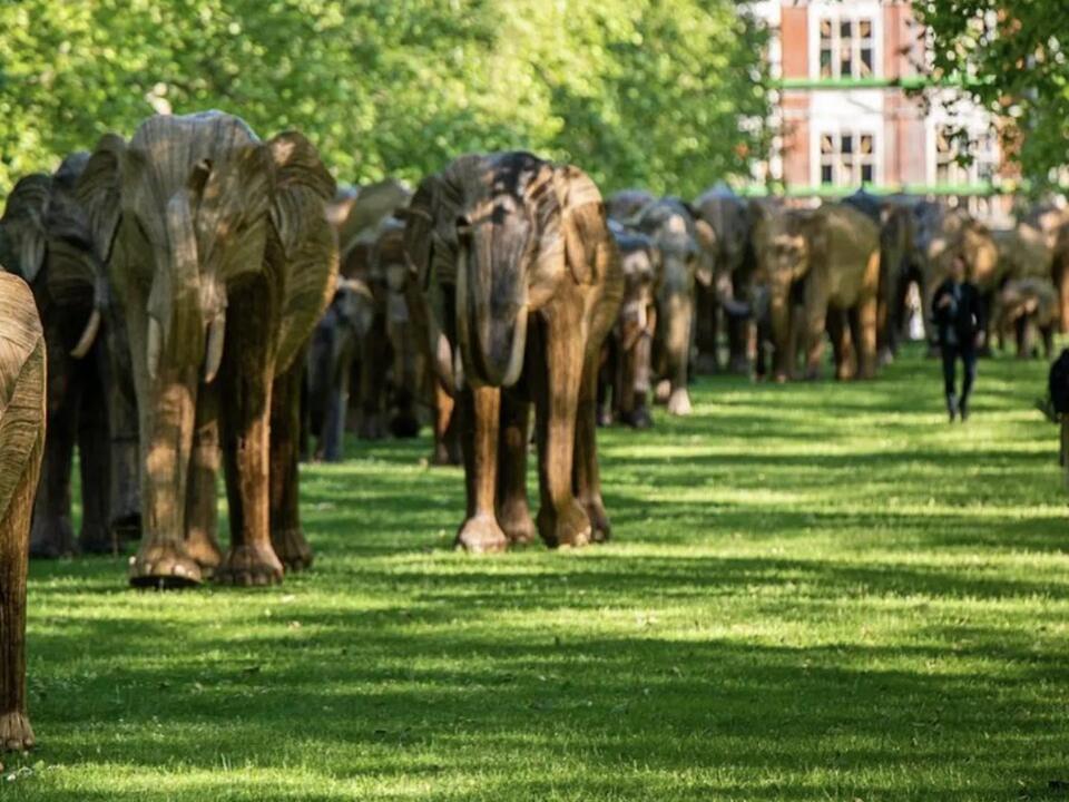 100 life-size elephant sculptures will soon migrate to Los Angeles