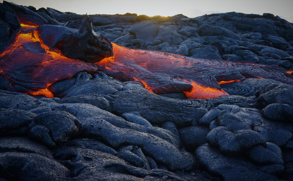 What Dinosaur Tracks in Volcanic Ash Tell Us About Ancient Landscapes ...