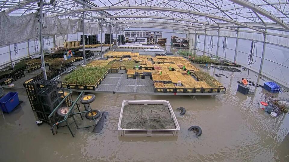 Oxbow Farm to hold native plant sale despite severe flood impact ...