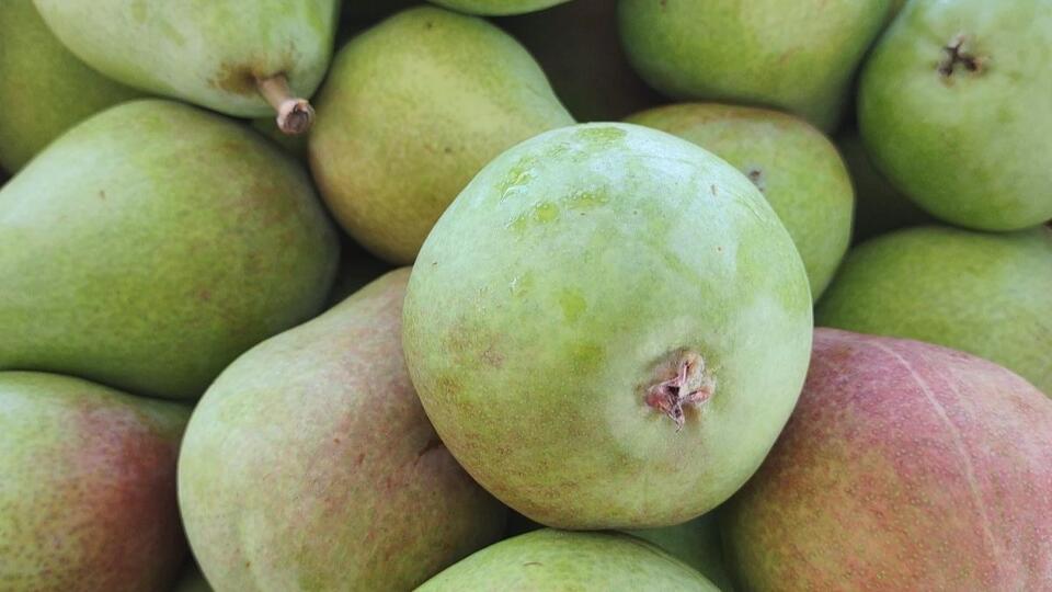 Things to Know About Pears Before You Put Them in Your Cart This Fall ...