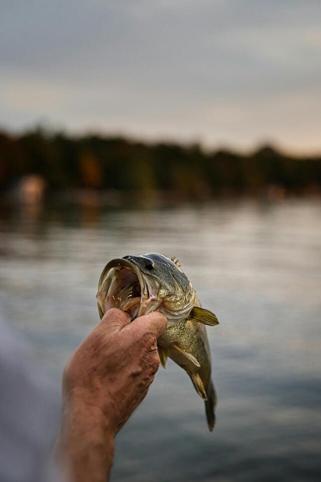 Here Are the 2026 Big Bass Splash Friday 9-10 am Winners - NewsBreak