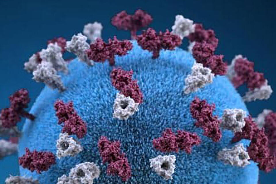 Measles detected in Washington County wastewater - NewsBreak