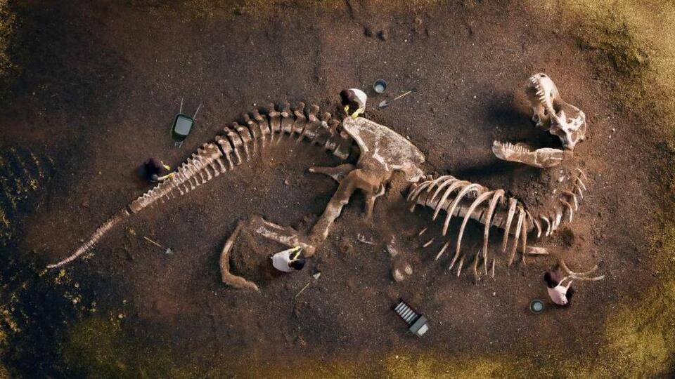 When Dinosaurs Got Sick: Diseases Found in Fossil Bones - NewsBreak