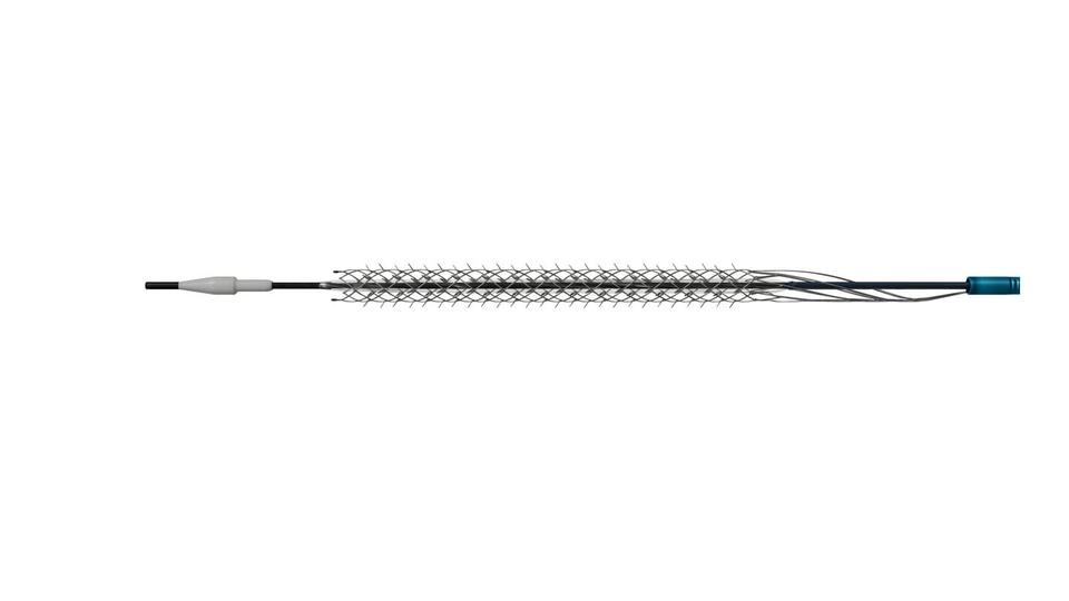Reflow Medical Announces 12-Month Results from DEEPER REVEAL Trial ...