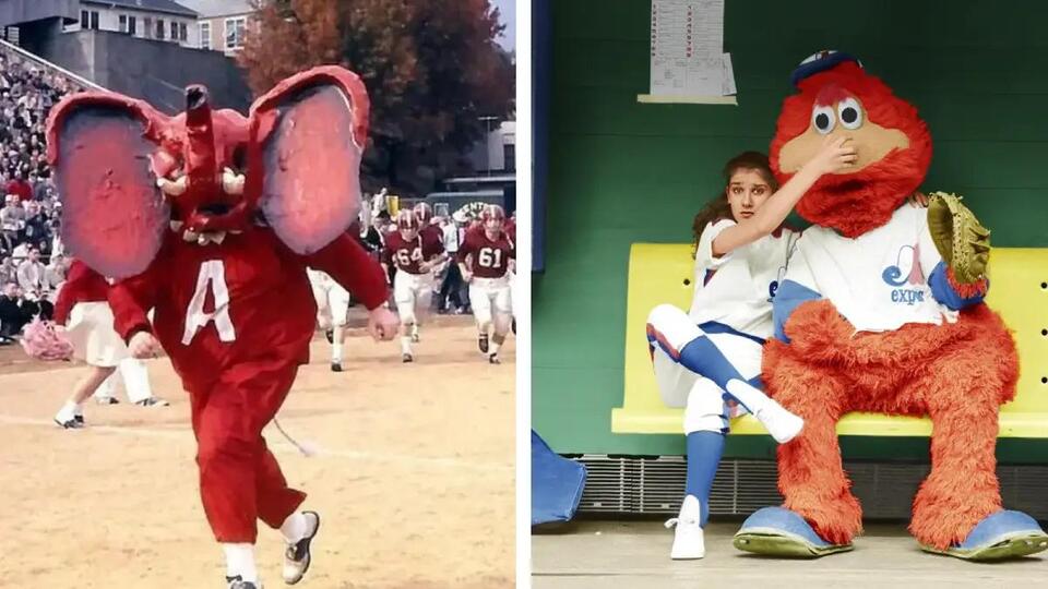 20 of the Most Successful Mascots in Sports History - NewsBreak