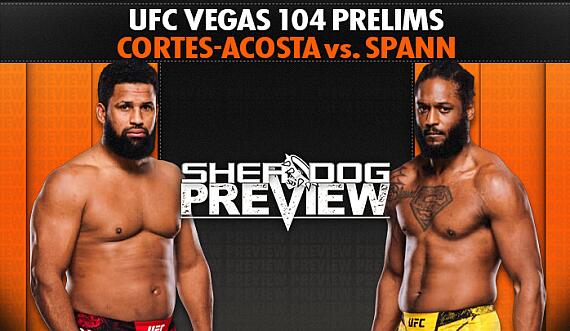 Preview: UFC Vegas 104 Prelims - NewsBreak