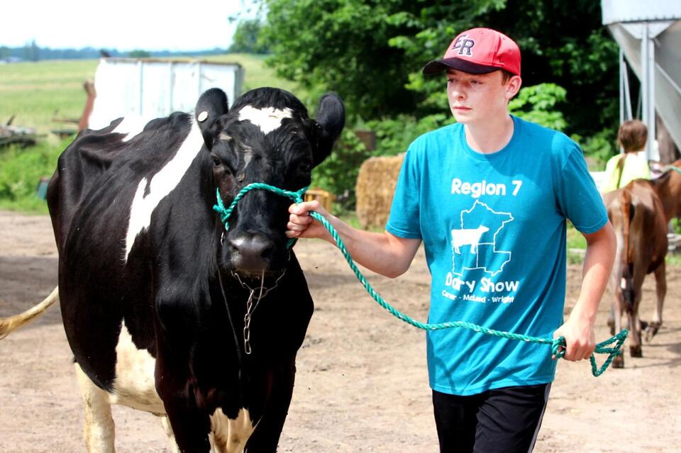 Dairy makes a comeback at Sherburne County Fair - NewsBreak