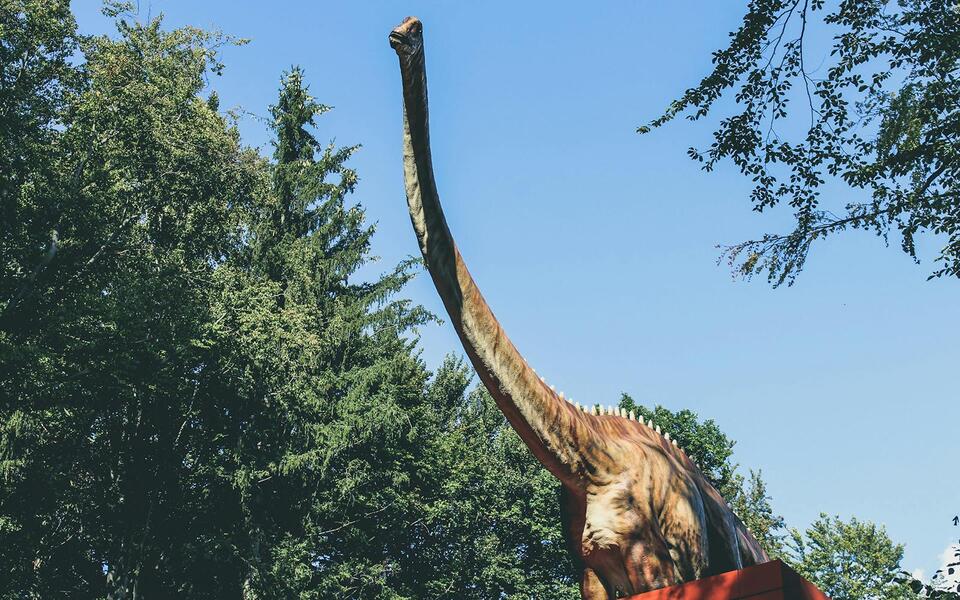 Did Dinosaurs Sleep Standing Up or Lying Down? - NewsBreak