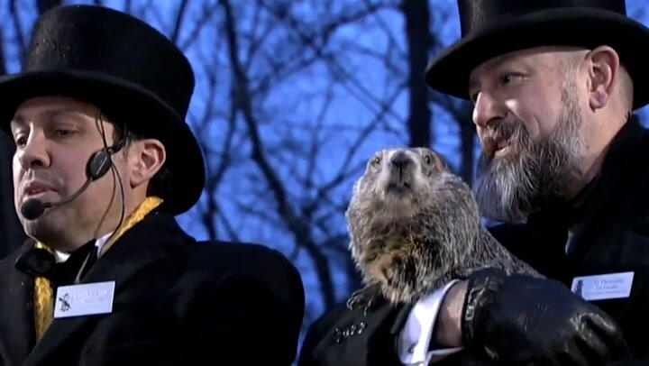 Punxsutawney Phil becomes a father as he welcomes two newborn ...