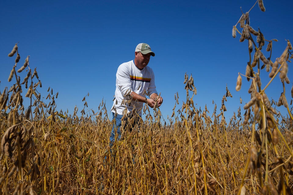 Editorial: Soybean farmers are feeling the effects of Trump's trade war ...
