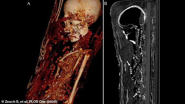 Ancient Egyptian mummies unearthed 400 years ago are revealed for the ...