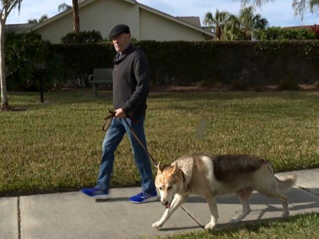 Trial for man charged with murder of gay man at Florida dog park begins ...
