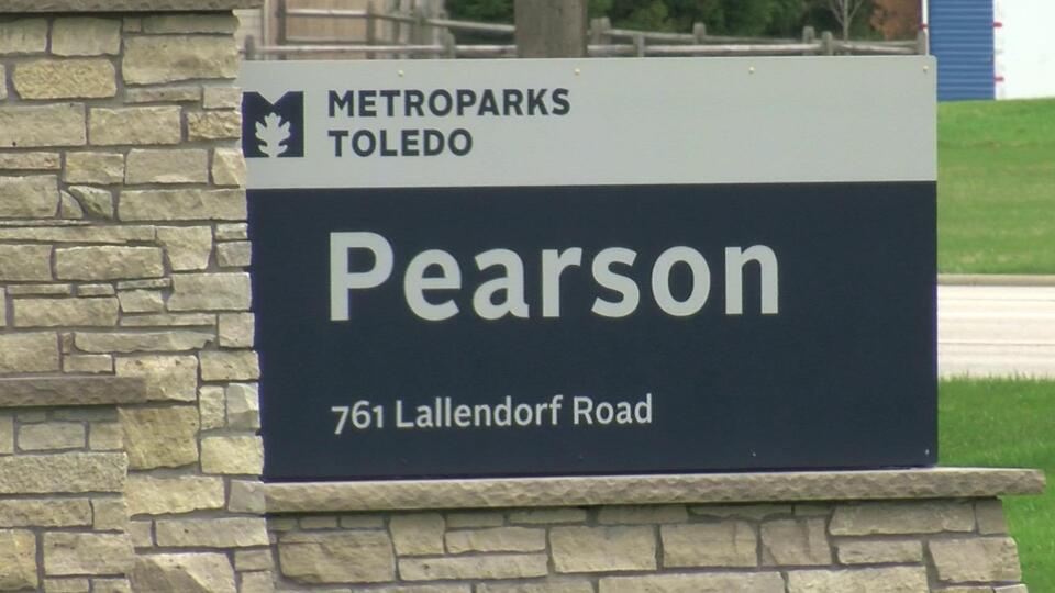 Pearson Metropark old-growth forest earns national recognition on Arbor ...