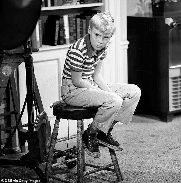 Jay North dead at 73: The Dennis the Menace star's 'terribly sad ...