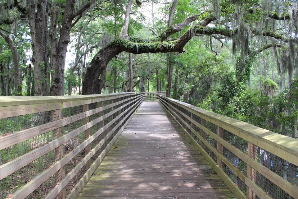 Beaufort County Land Preservation Department Invites Public to Submit ...