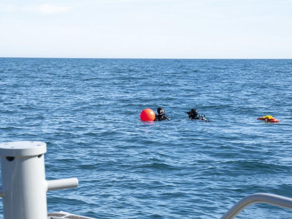 Louisiana teen jumps overboard in Bahamas on dare, goes missing